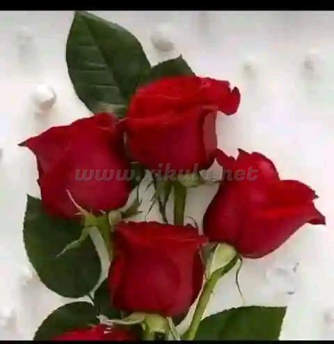 Ndabza - EmaZwini | FREE mp3 Download [4.7MB]